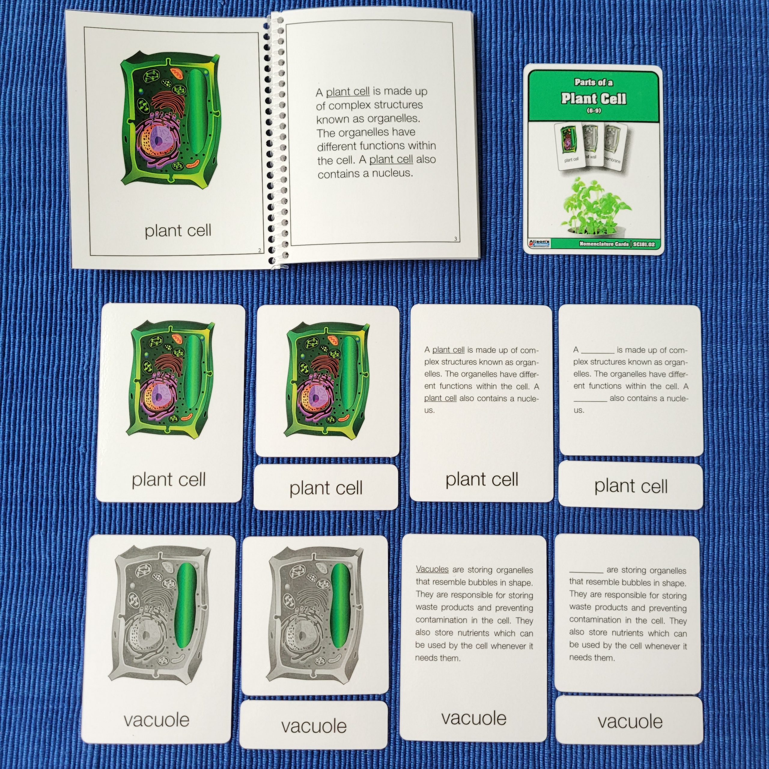 Parts of a Plant Cell & Parts of an Animal Cell