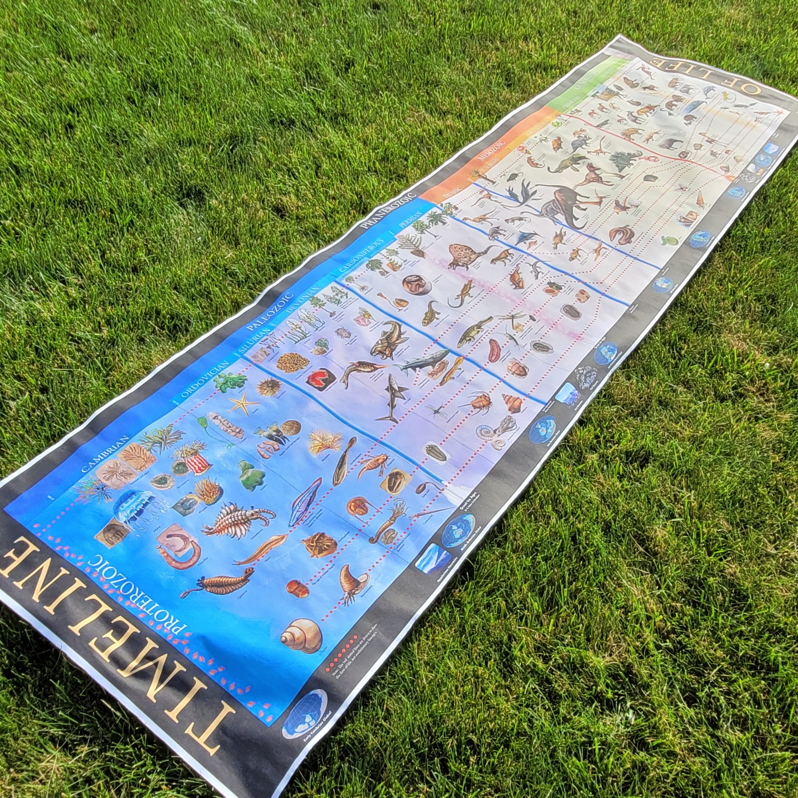 Timeline of Life Charts and Research Cards