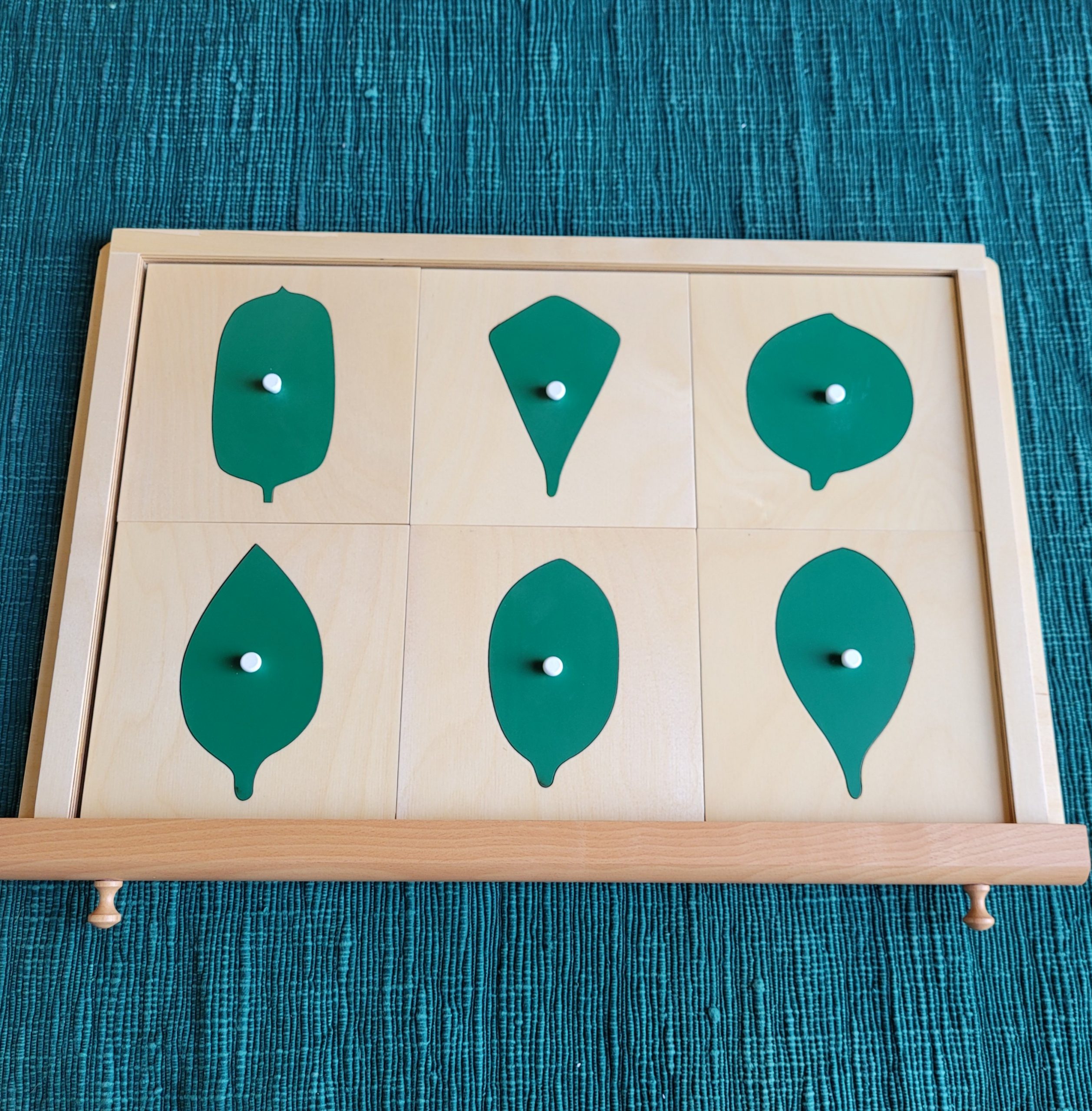 Botany Leaf Cabinet with Large Puzzles