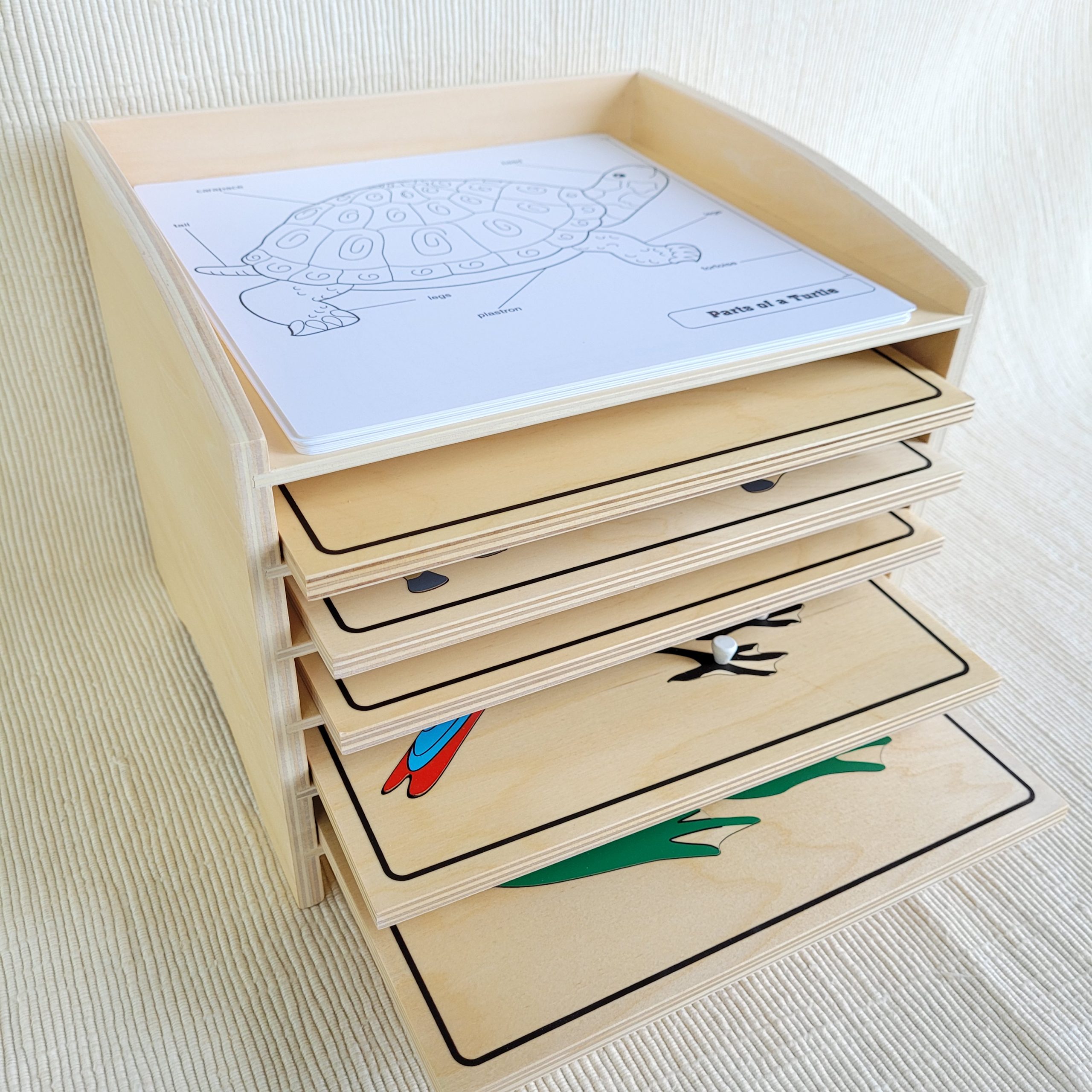 The Study of Vertebrate Animals, Ages 3-6 - Alison's Montessori Blog